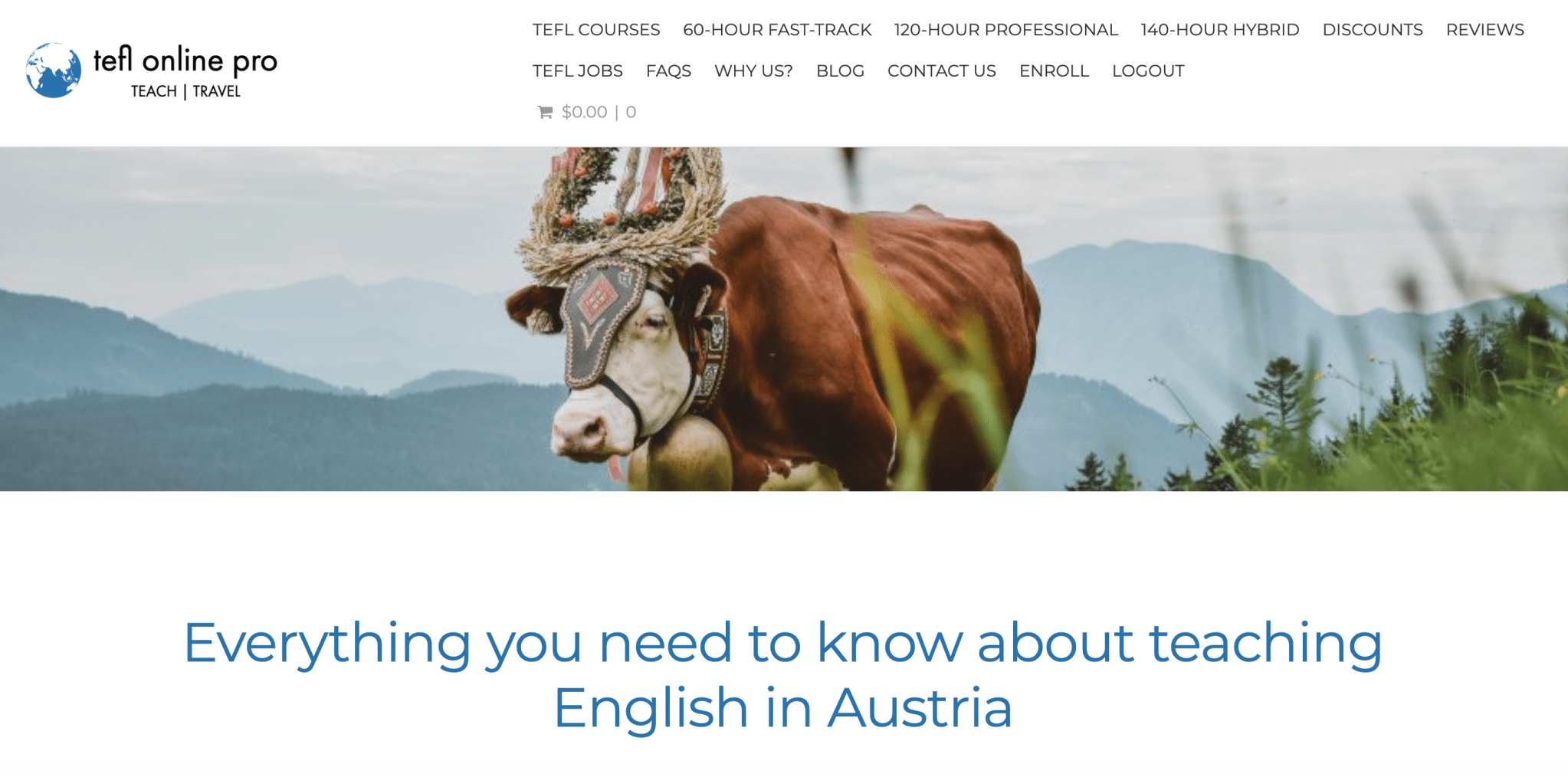 Teachers’ Choice Award Winner, 2022 – TEFL Online Pro Reviews